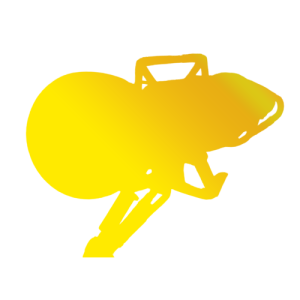 Buy The Wardcliff Coil Exotic Rocket Launcher - Destiny 2 Boost | KBoosting