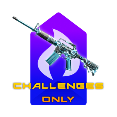 BO6 Afterlife Camos Boosting – CoD Services | KBoosting